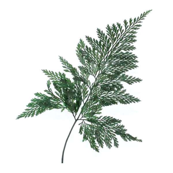 Preserved foliage - Bonart Group