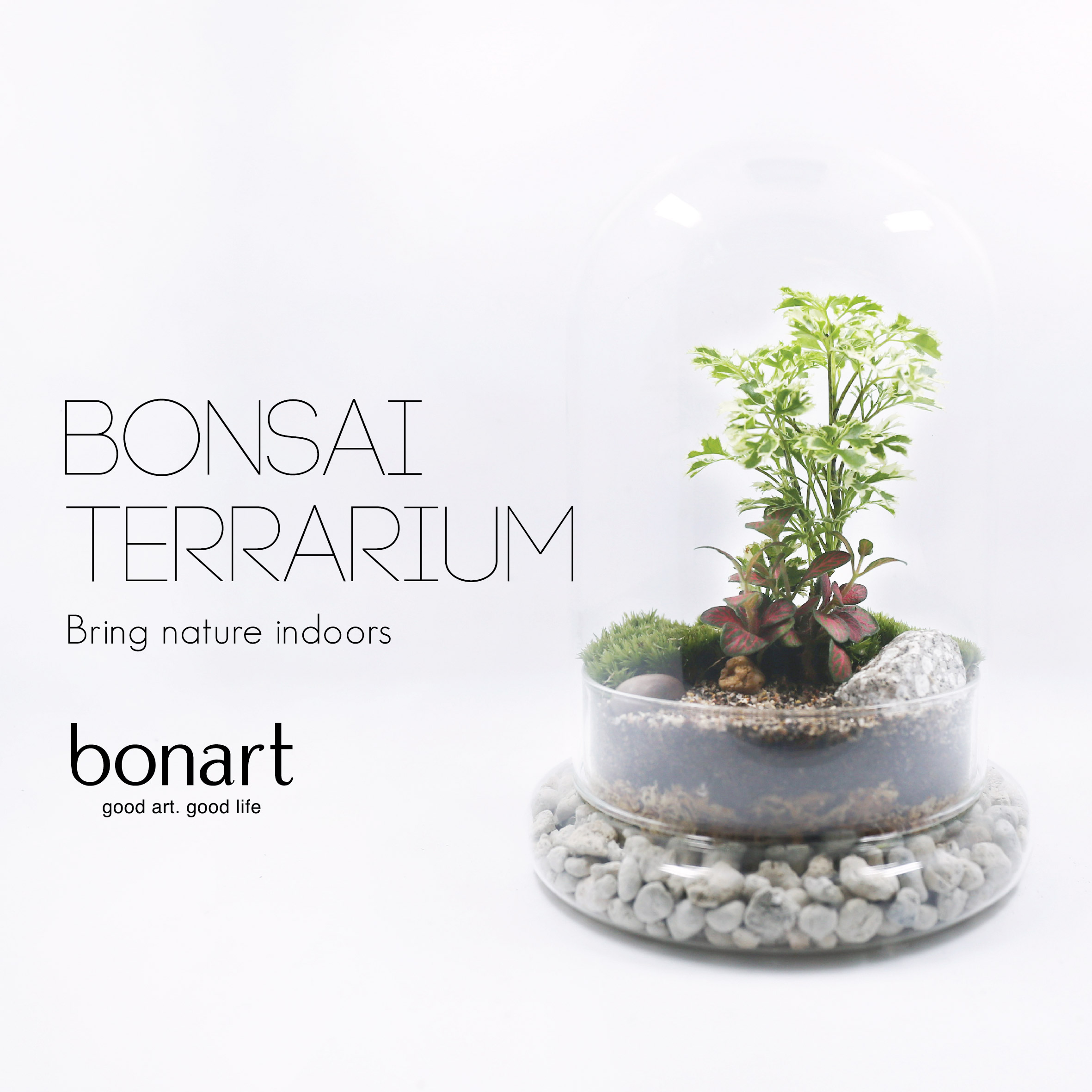 facebook bonsal terrarium-01 - Bonart Group