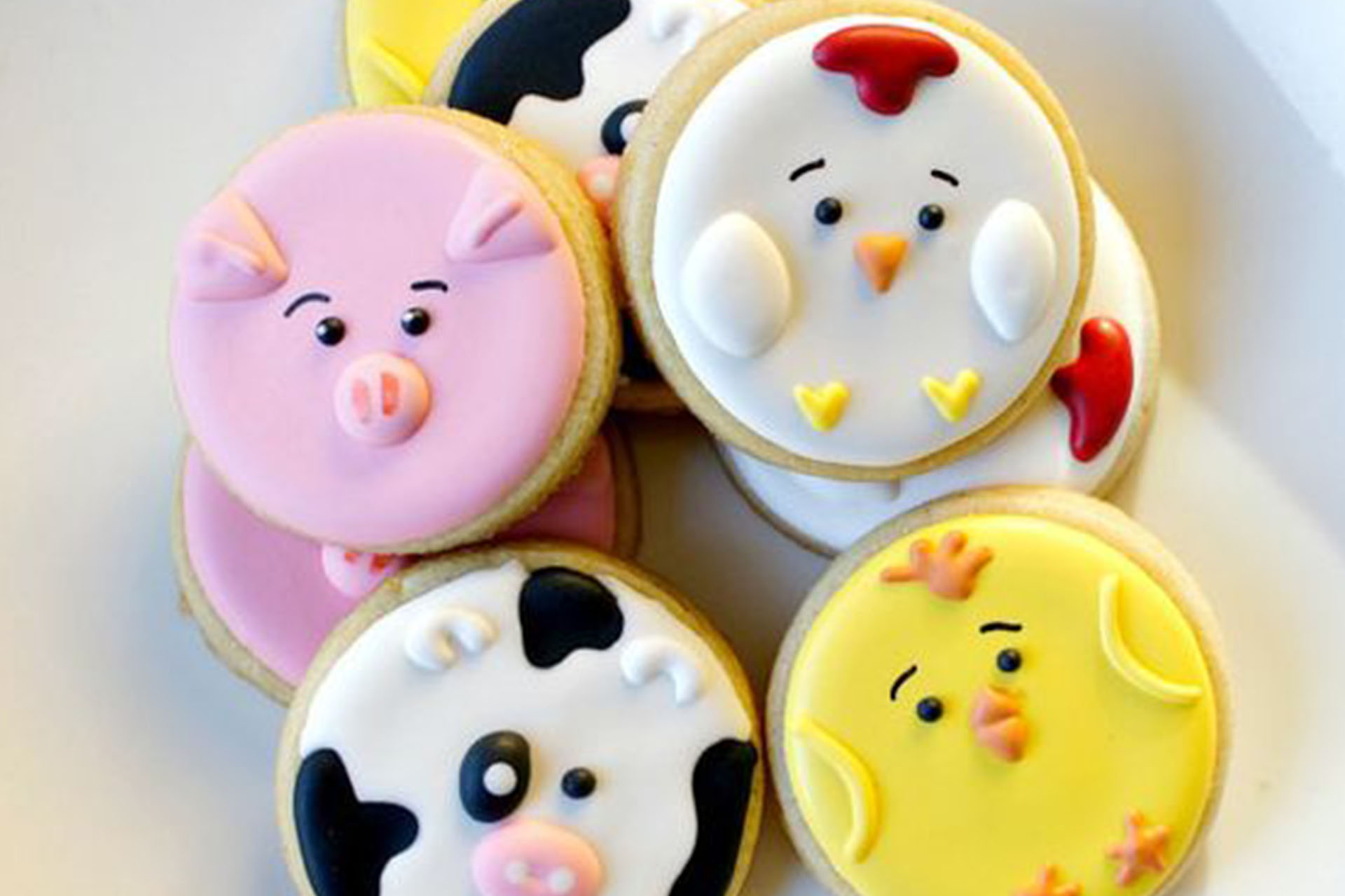 15595_1556628_332959402331281_o - Bonart Group