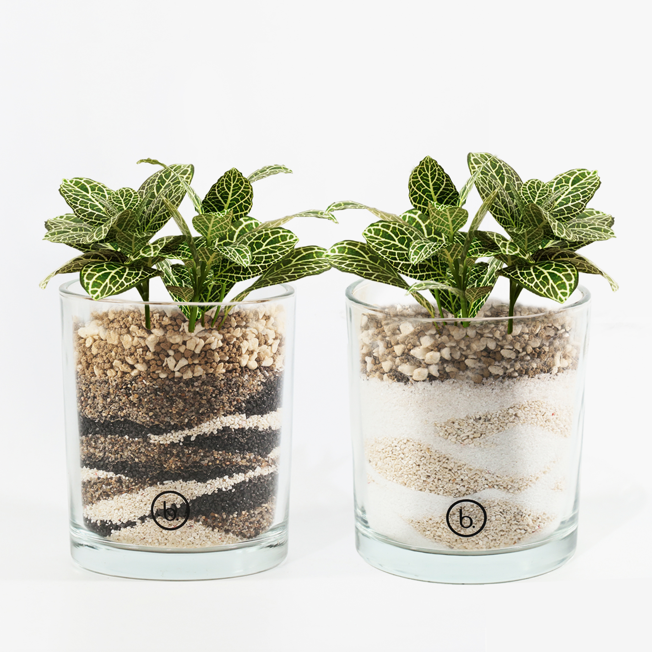 sand art - Bonart Group