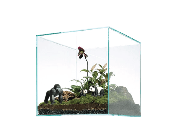 cube terrarium – Bonart Group