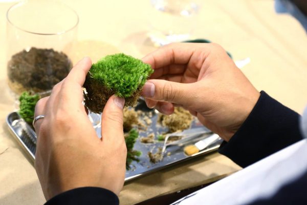 Workshops – Botanical Art Experience - Bonart Group