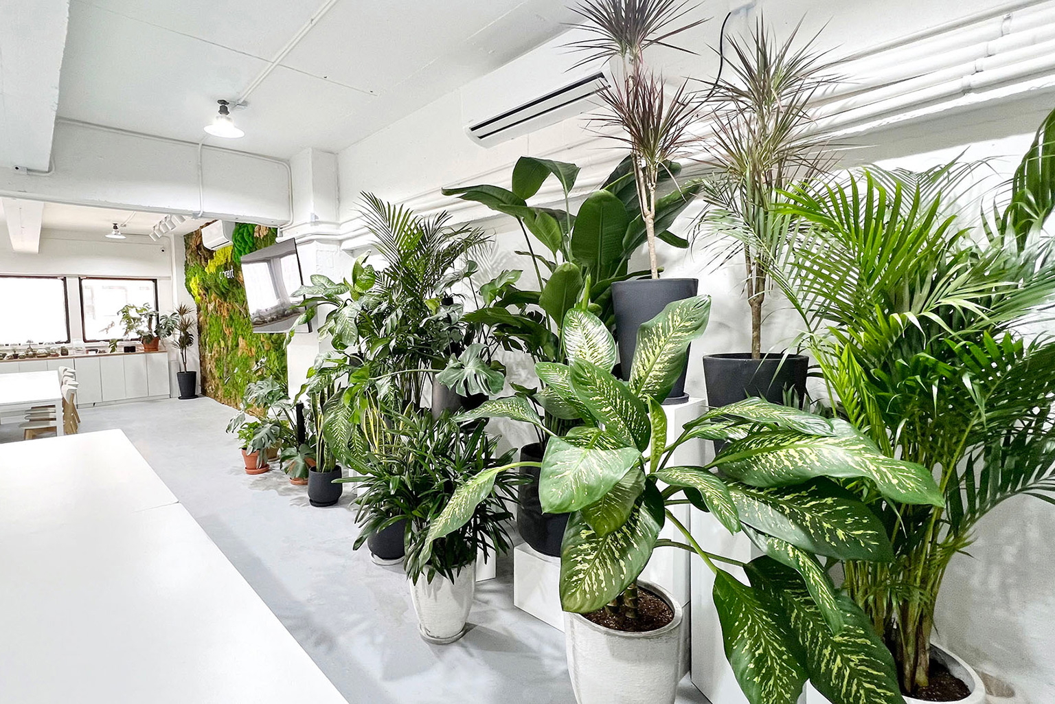 bonart KT2.2 - Bonart Group